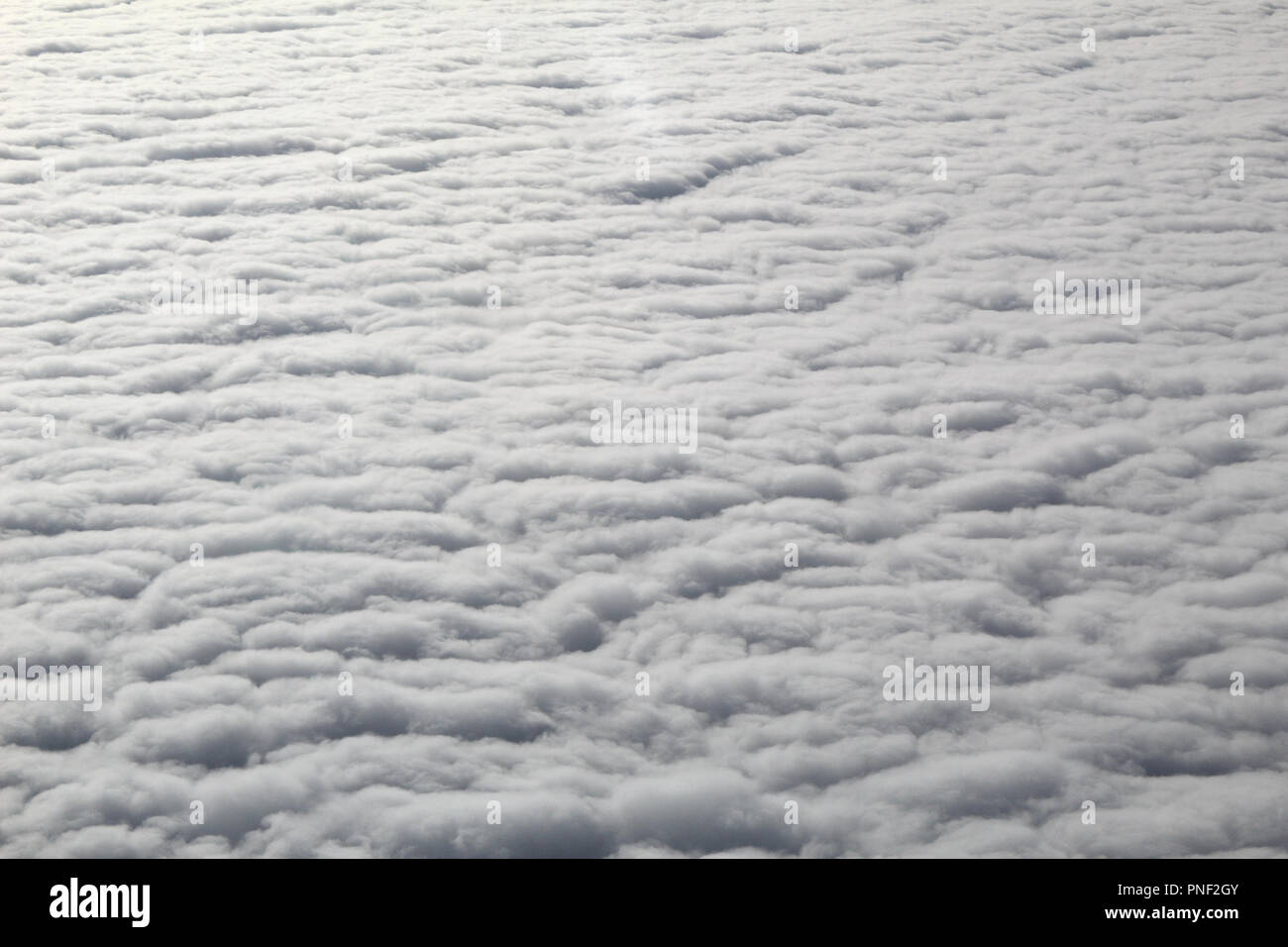 An areal view of flat uniform homogeneous clouds and a deep blue sky as ...