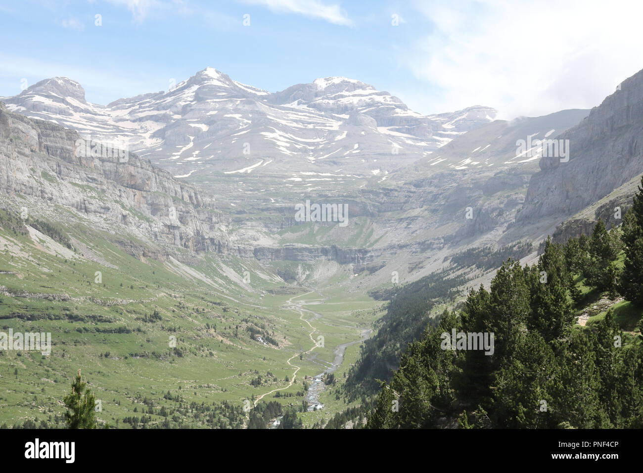 A landscape of the Monte Perdido massif, with a pine and firs forest ...