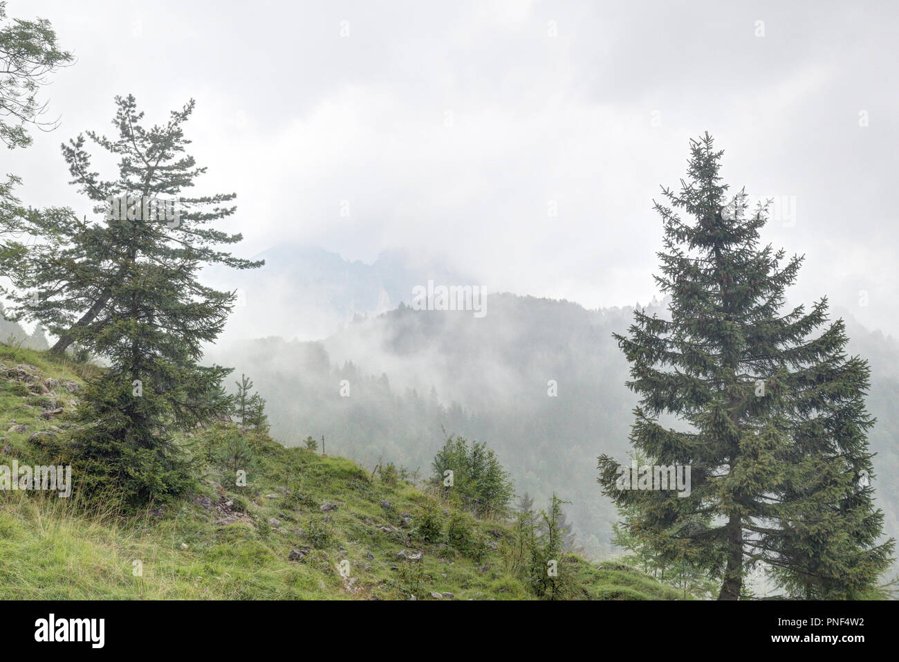 Rain scenery hi-res stock photography and images - Alamy