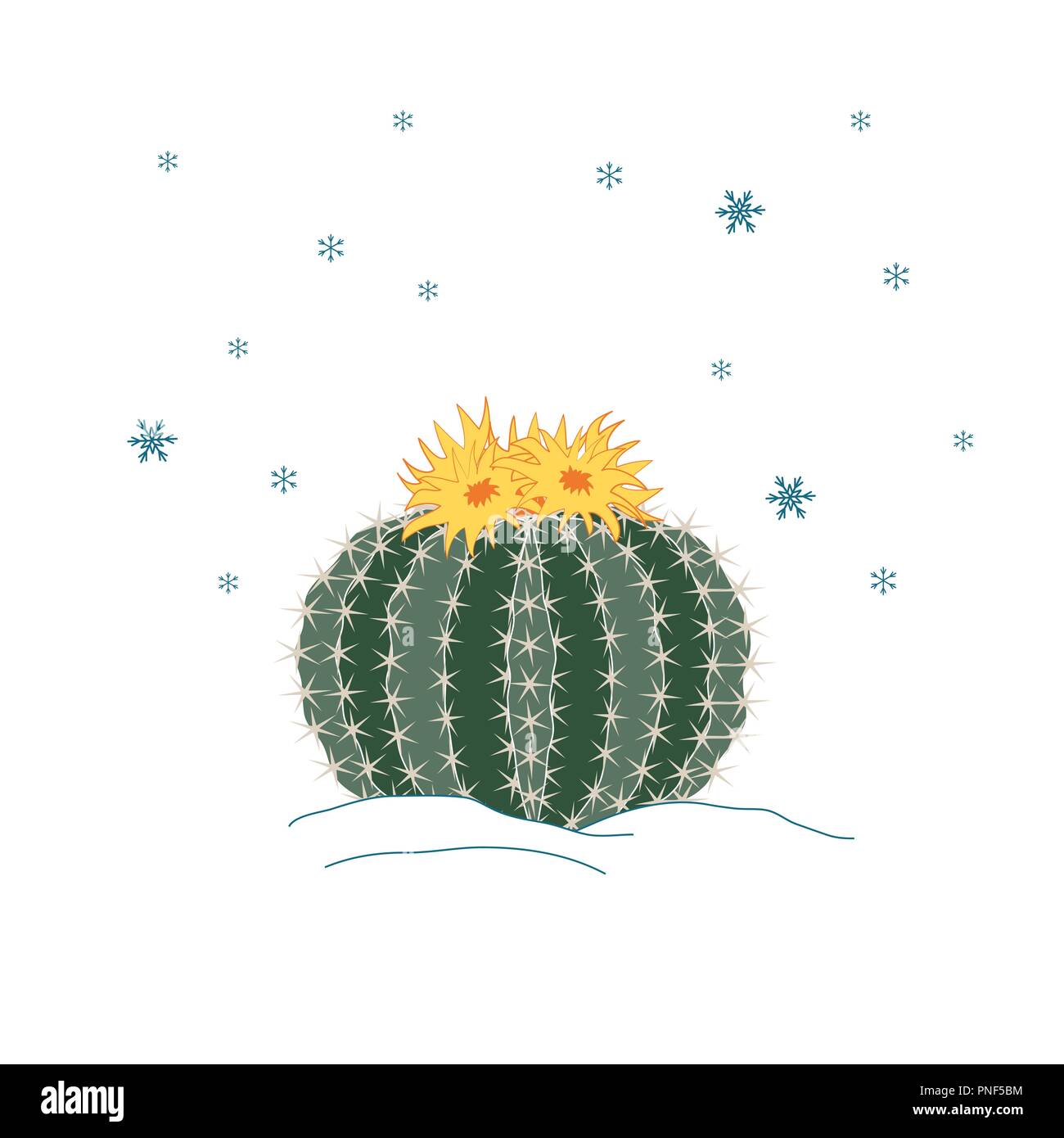 Winter cactus with flowers and snowflakes sky. New year illustration ...