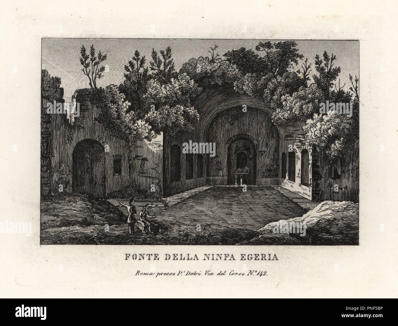 Egeria hi-res stock photography and images - Alamy