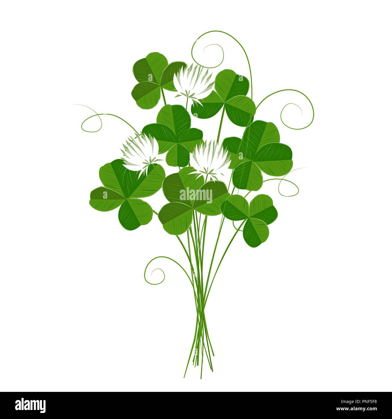 Shamrock st patricks day emblem symbol plant shamrock hi-res stock ...