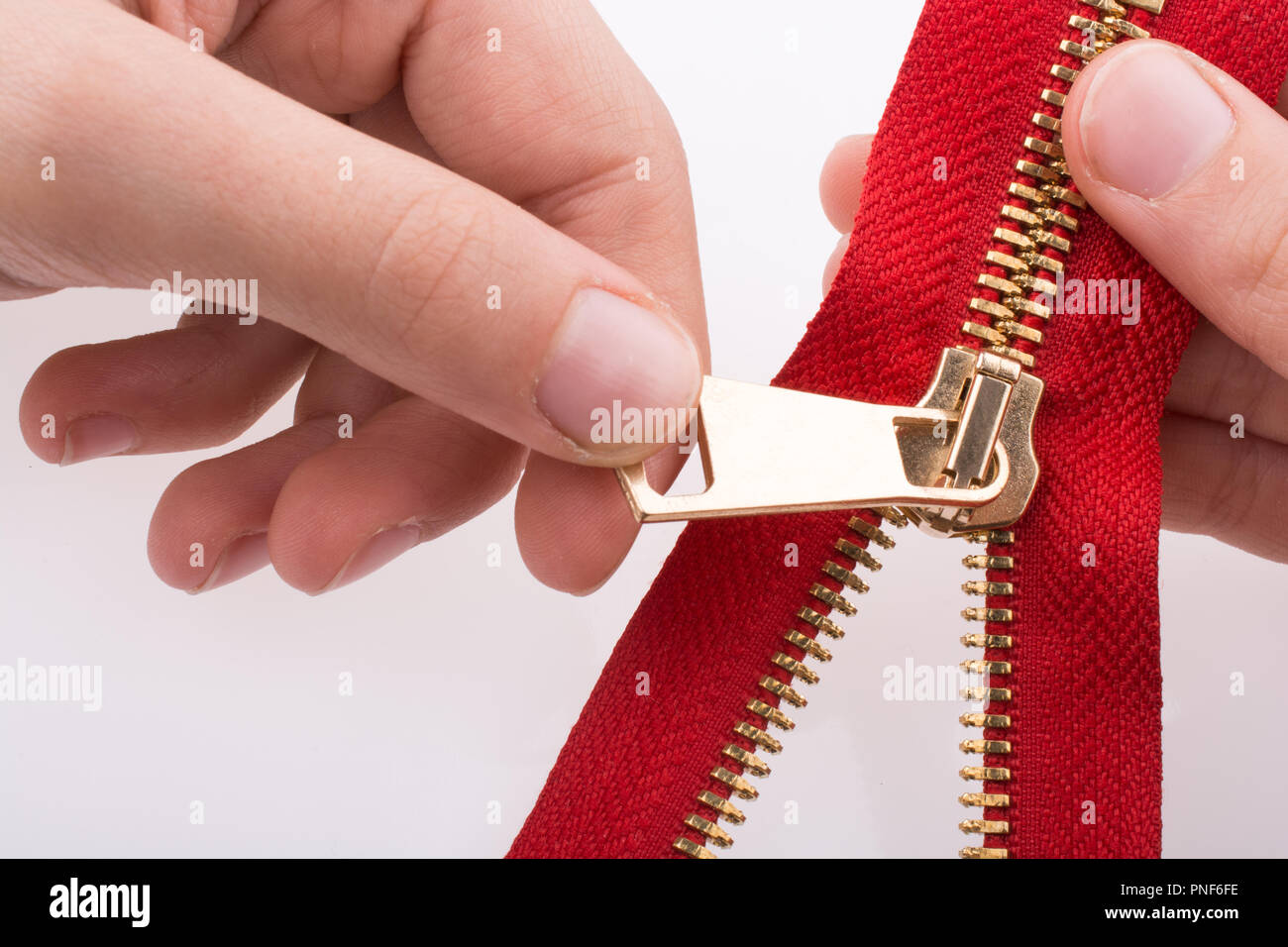 Hand holding color zipper on a white background Stock Photo - Alamy