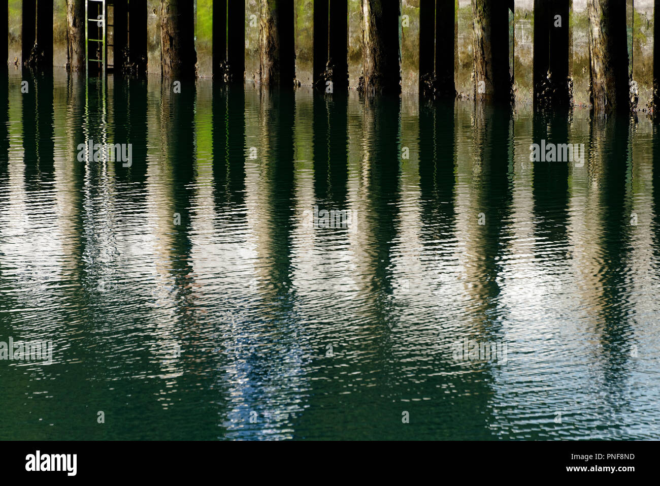 A reflection of posts in the sea, where the real world meets its ...