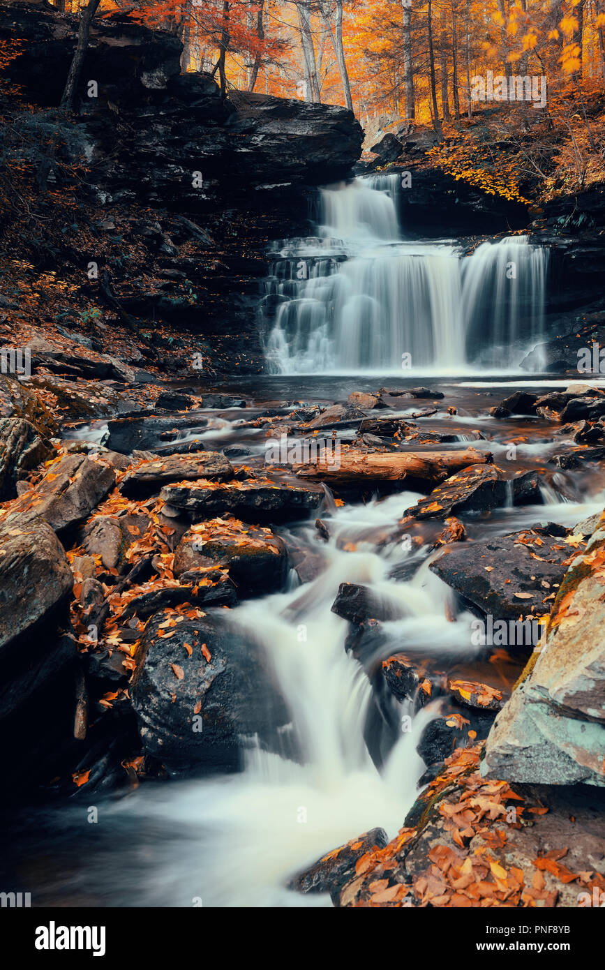 Autumn waterfalls in park with colorful foliage Stock Photo - Alamy