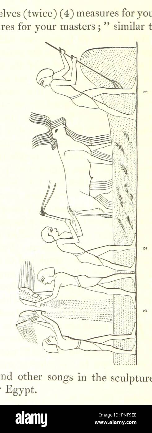 Image from page 124 of 'Manners and Customs of the ancient Egyptians ...