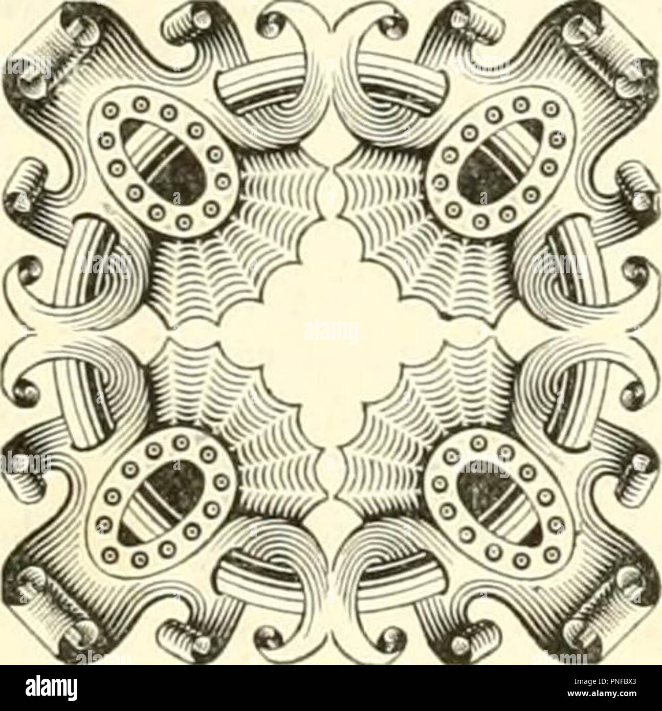 "Collections for a history of the Shires of Aberdeen and Banff. [vol. 2 ...