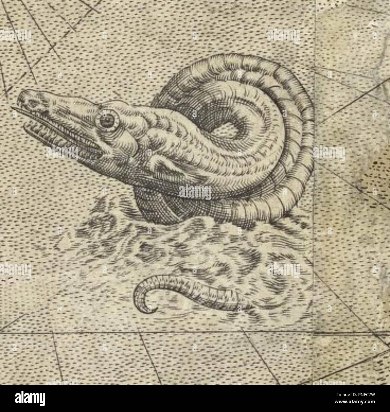 Mercator 1569 World Map High Resolution Stock Photography and Images ...