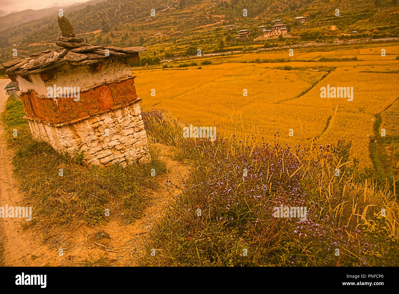 Chorten field hi-res stock photography and images - Alamy
