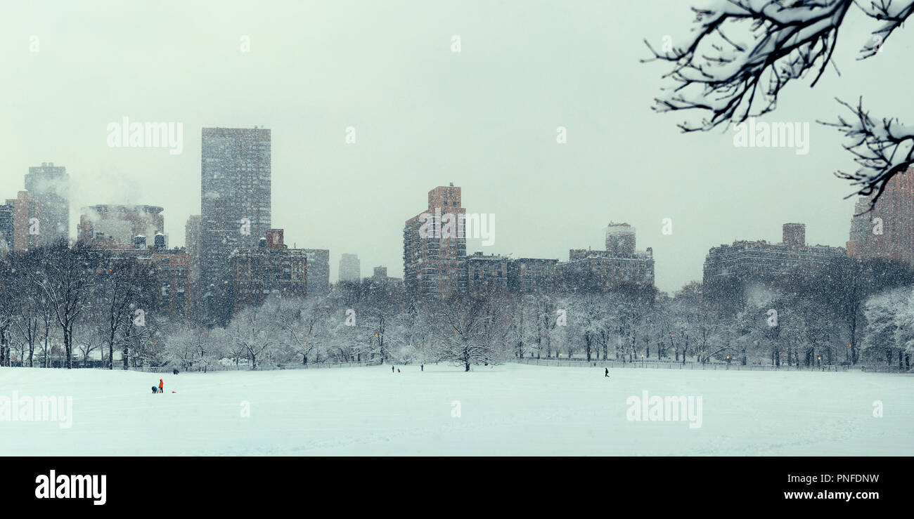 Central Park winter in snow with skyscrapers in midtown Manhattan New ...