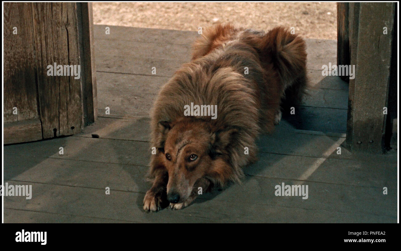 Hondo 1953 Stock Photos & Hondo 1953 Stock Images - Alamy