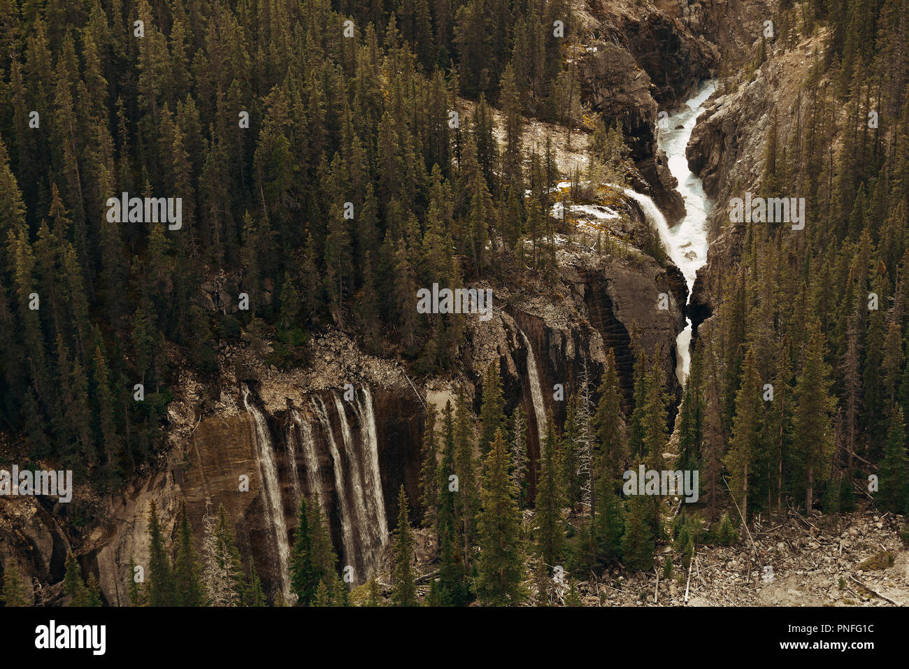 Forest and waterfall in Banff National Park, Canada Stock Photo - Alamy