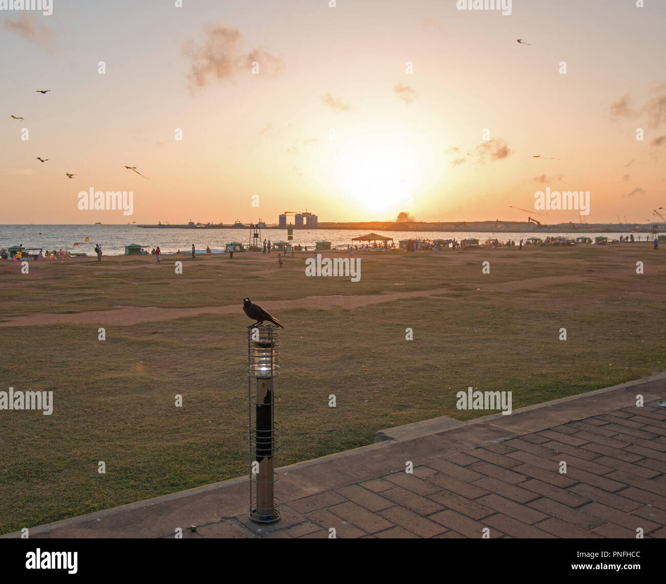 Galleface colombo hi-res stock photography and images - Alamy