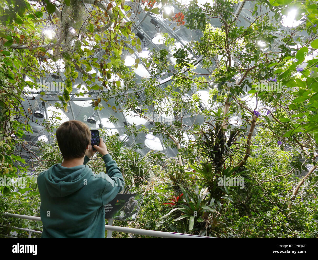 San Francisco, USA. 05th Sep, 2018. A visitor takes photographs in the ...