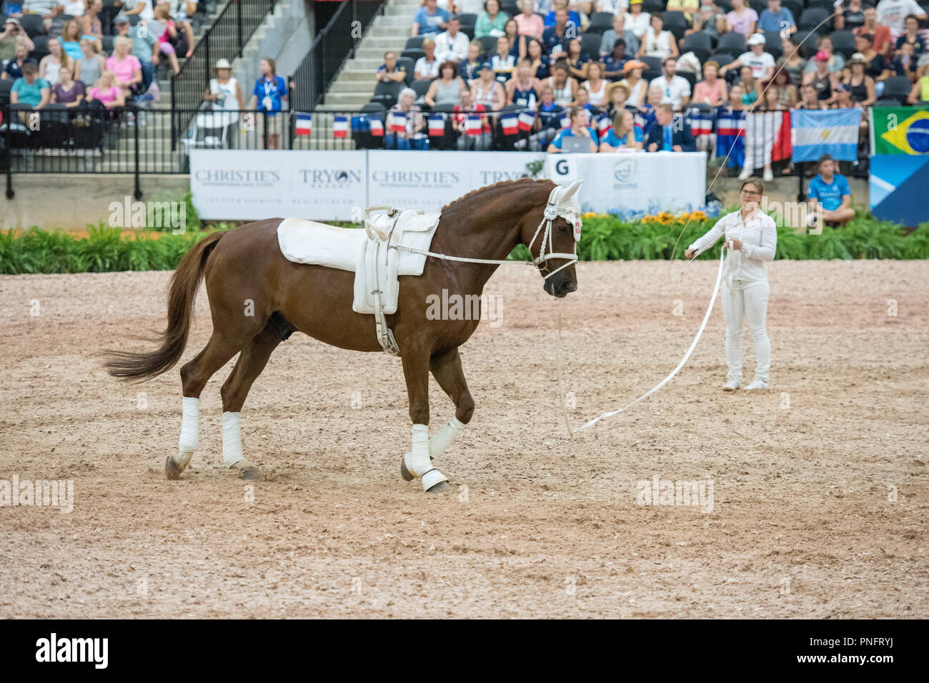 Mill Spring, NC. 20 Sep 2018. FEI WEG Tryon 2018 Continues with Jumping ...