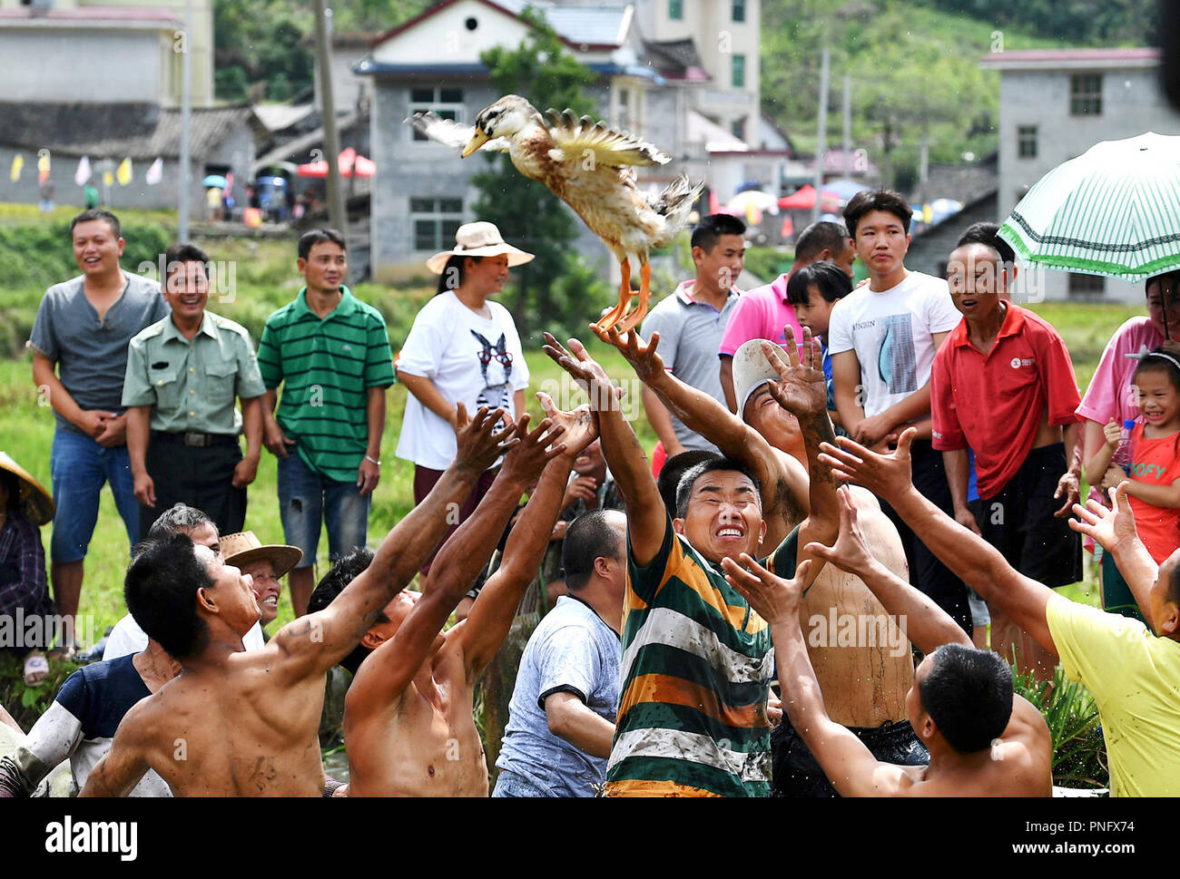Huayuan, China's Hunan Province. 20th Sep, 2018. Local people catch a ...