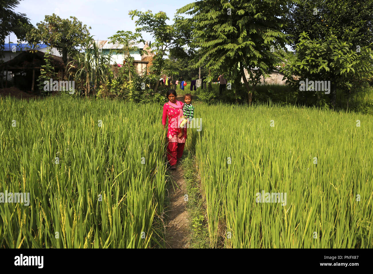 Nawalpur hi-res stock photography and images - Alamy