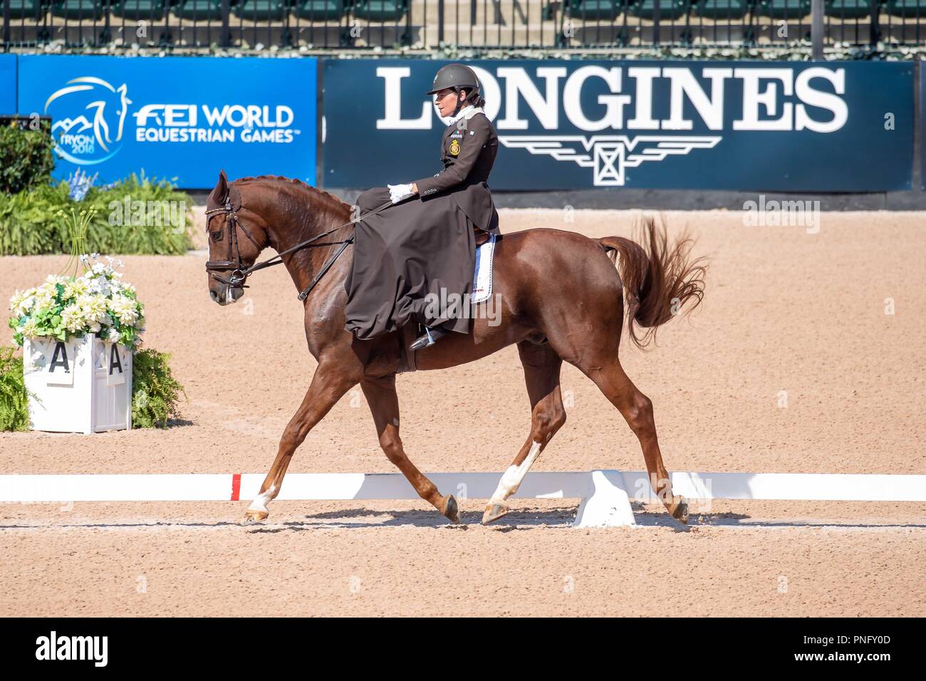 10 para hi-res stock photography and images - Alamy