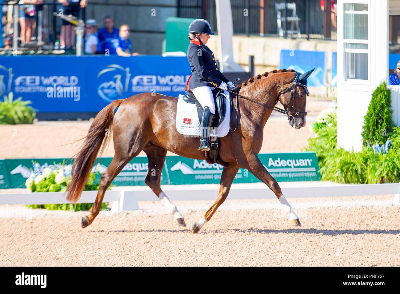 Winner. First Place. Natasha Baker riding Mount St John Diva Dannebrog ...