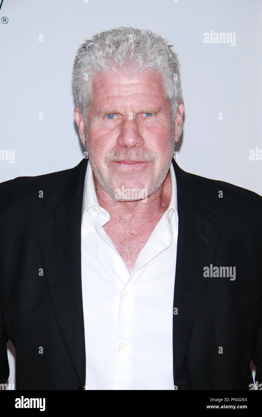 New York, NY, USA. 21st Sep, 2018. Ron Perlman at the StartUp Season 3 ...