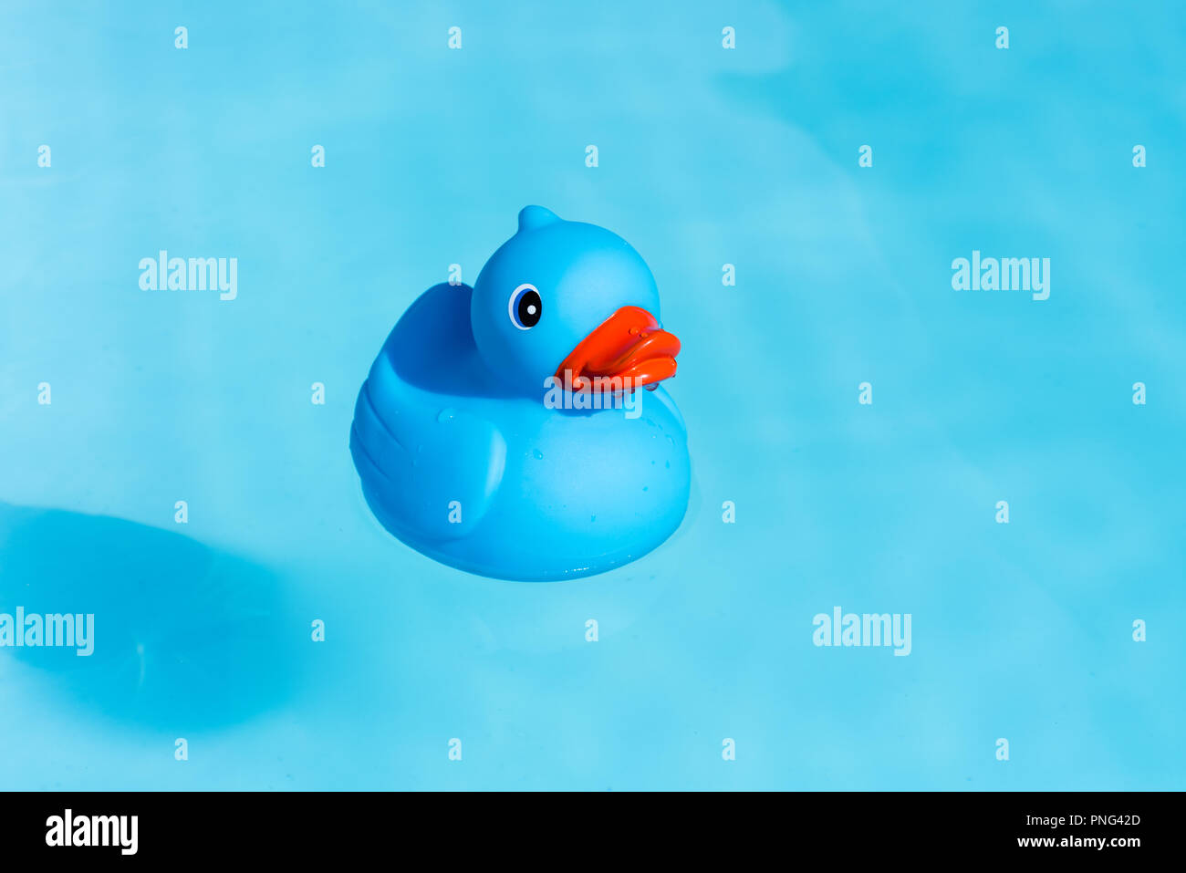 A single blue rubber duck floats in a paddling pool Stock Photo - Alamy