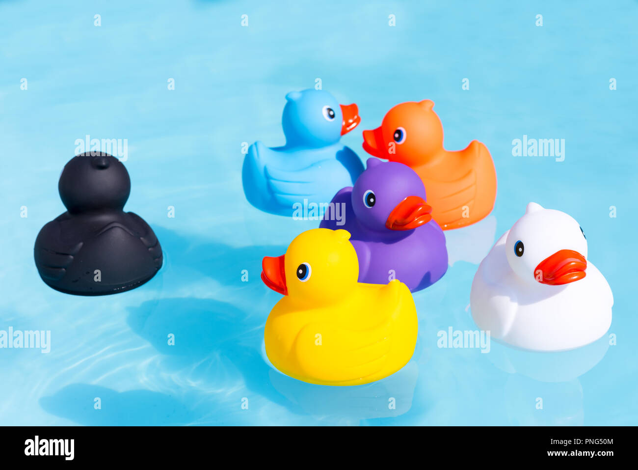 Plastic ducks in swimming pool hi-res stock photography and images - Alamy