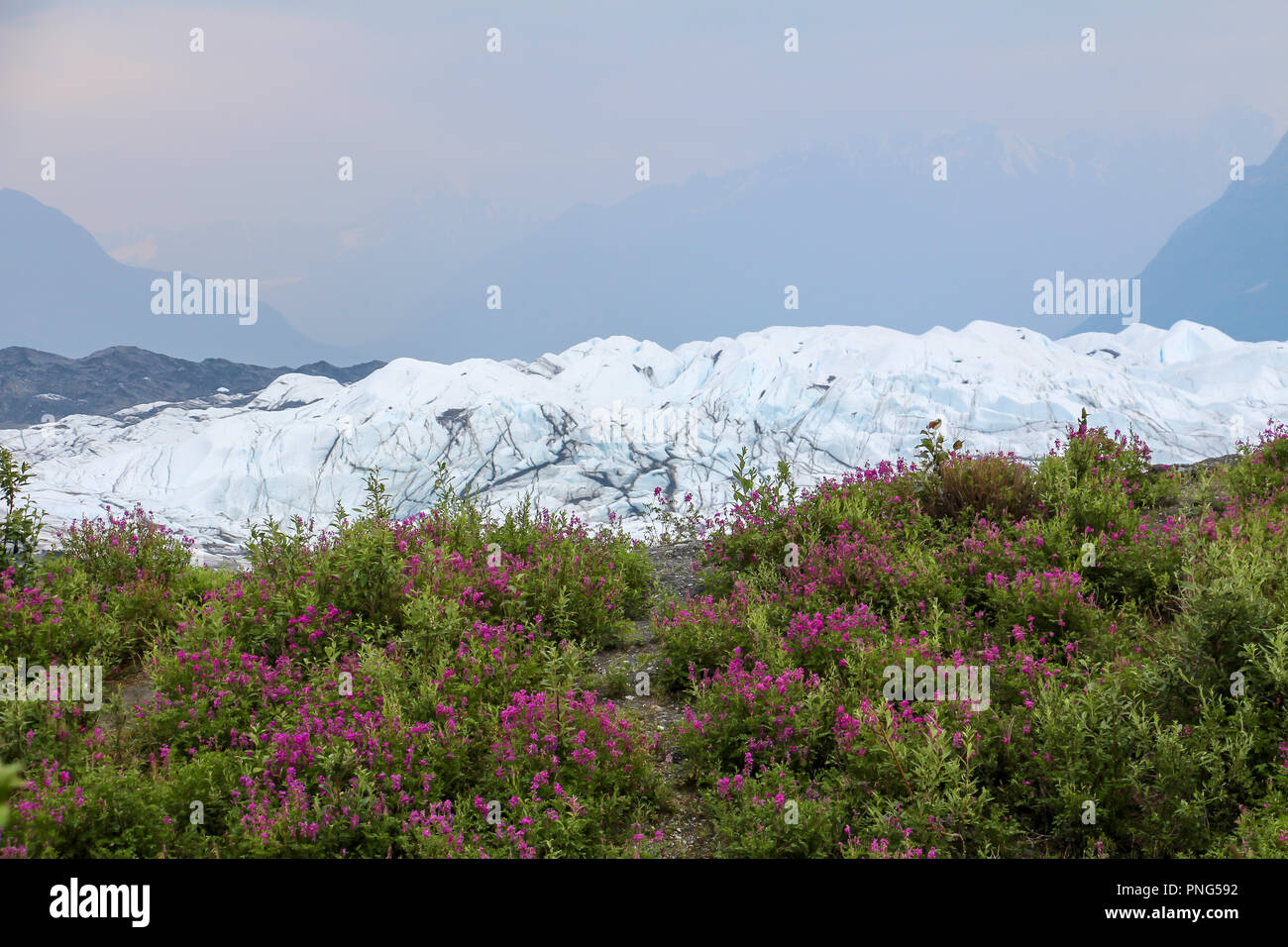 Matanuska valley hi-res stock photography and images - Alamy