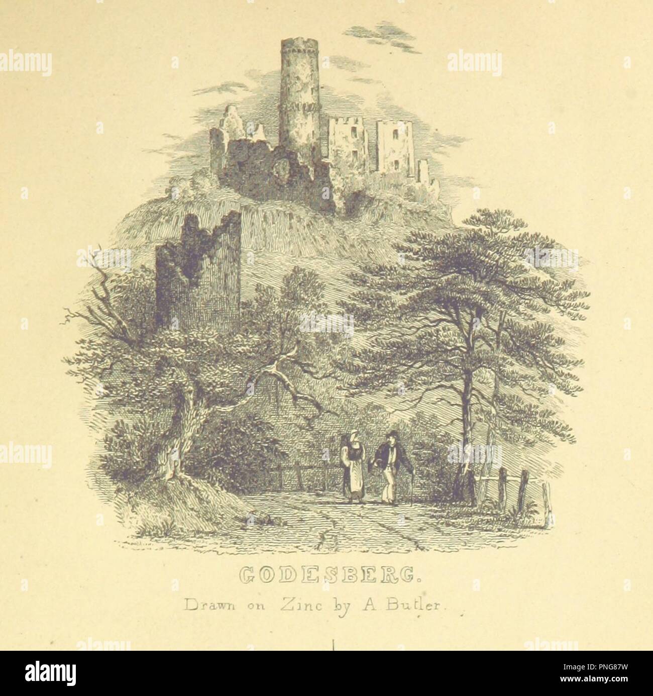 Image from page 255 of 'The Rhine legends, traditions, history, from ...