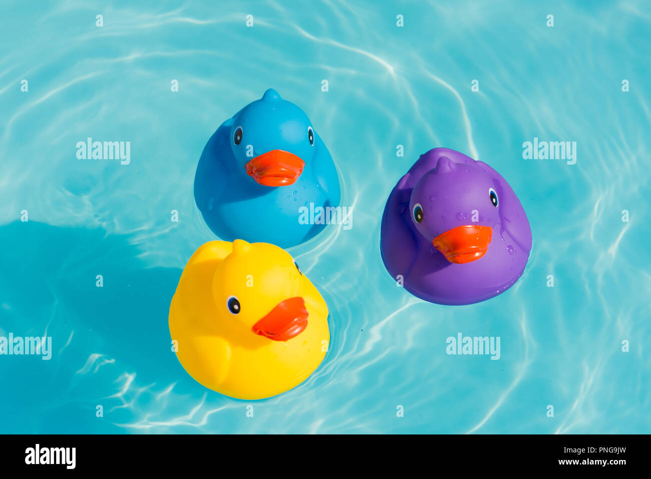 Plastic ducks in swimming pool hi-res stock photography and images - Alamy