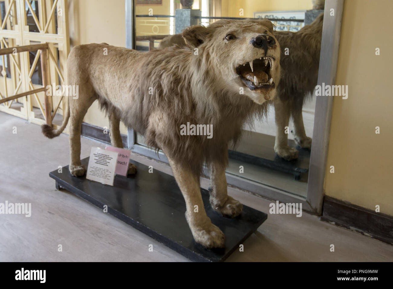 Ethnological Museum, Institute of Ethiopian Studies, Haile Selassie's ...