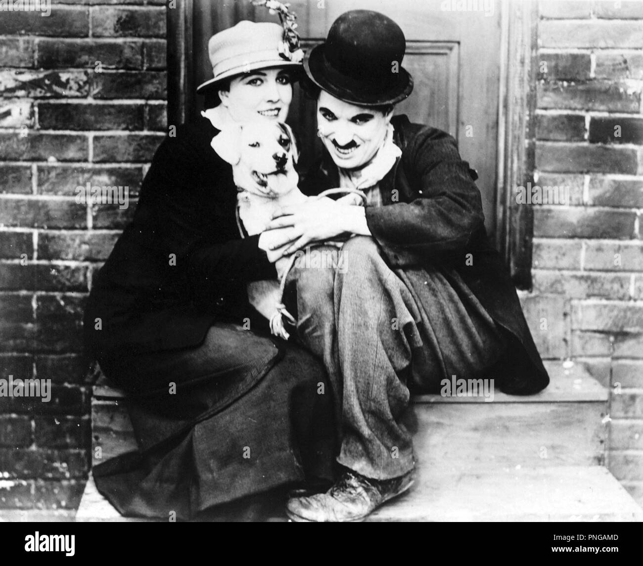 Original film title: A DOG'S LIFE. English title: A DOG'S LIFE. Year ...