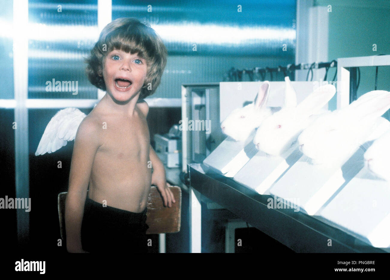 Original film title: TOBI. English title: TOBI. Year: 1978. Director ...