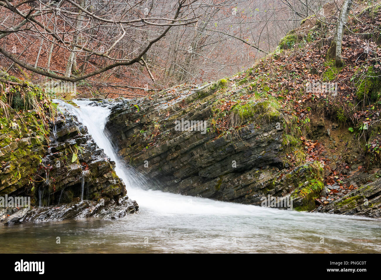 small cascade in the forest. lovely autumn scenery Stock Photo - Alamy