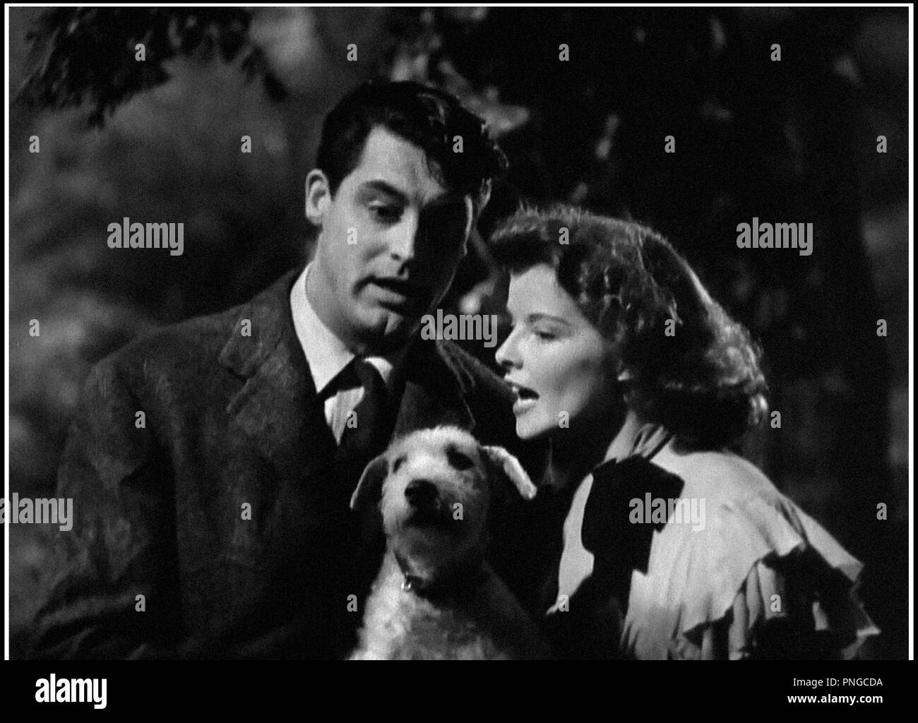 Who Is The Dog In Bringing Up Baby at Jane Rodriquez blog
