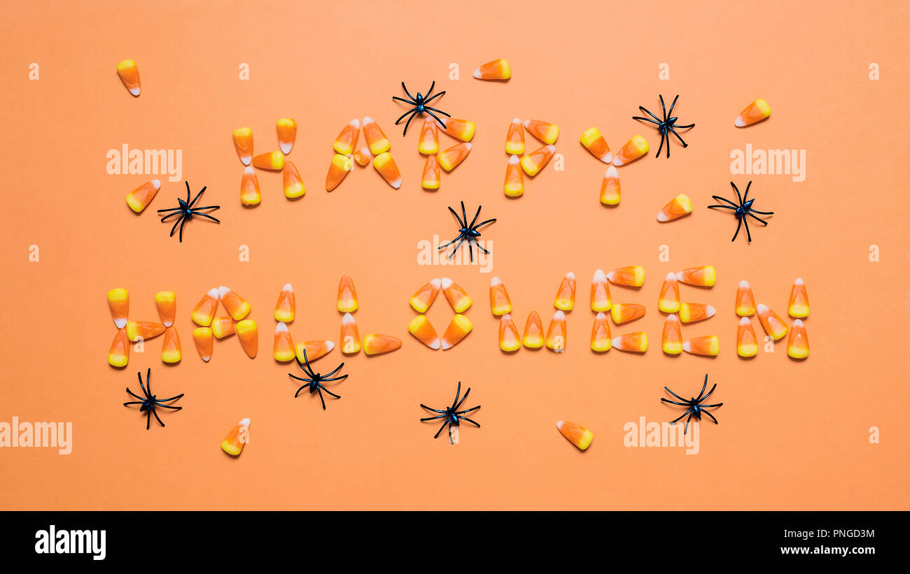 Top view of spiders hi-res stock photography and images - Alamy