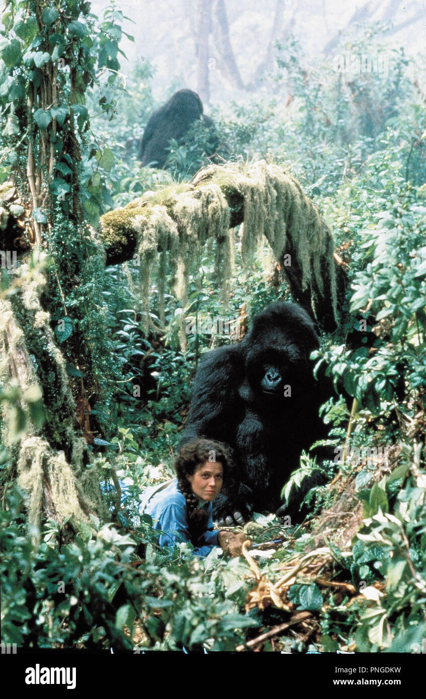 Original film title: GORILLAS IN THE MIST: THE STORY OF DIAN FOSSEY ... Original film title: GORILLAS IN THE MIST: THE STORY OF DIAN FOSSEY ...