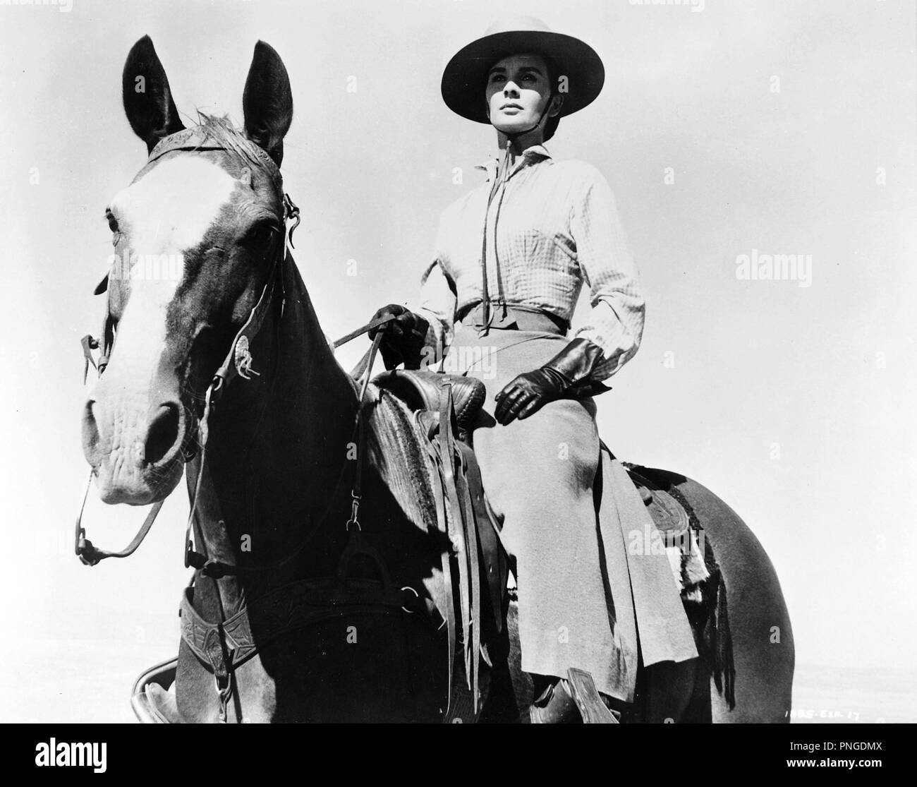 The Big Country Cast