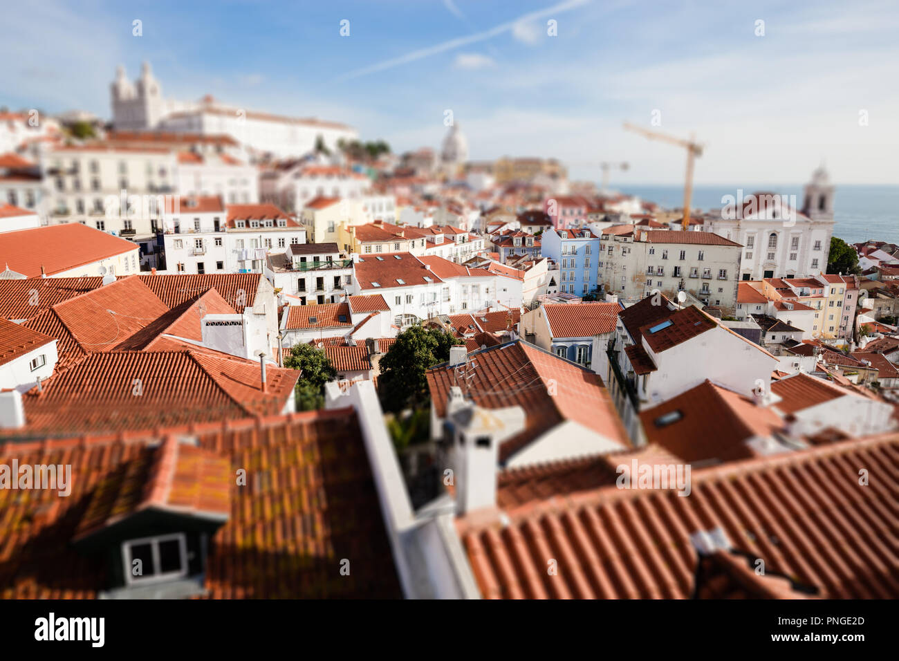 Top view of Lisbon downtown red roof buildings. Artistic miniature tilt ...