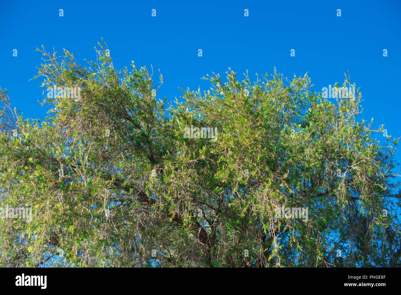 Google earth australia hi-res stock photography and images - Alamy
