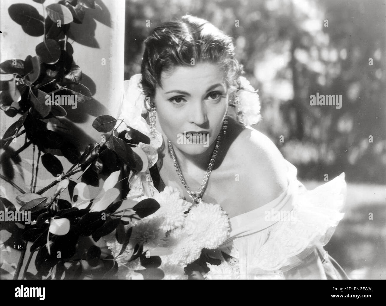 Schlieper hi-res stock photography and images - Alamy