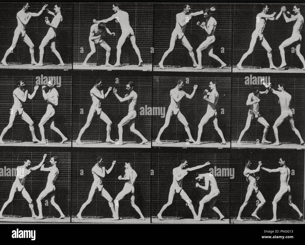 Eadweard Muybridge Zoopraxiscope
