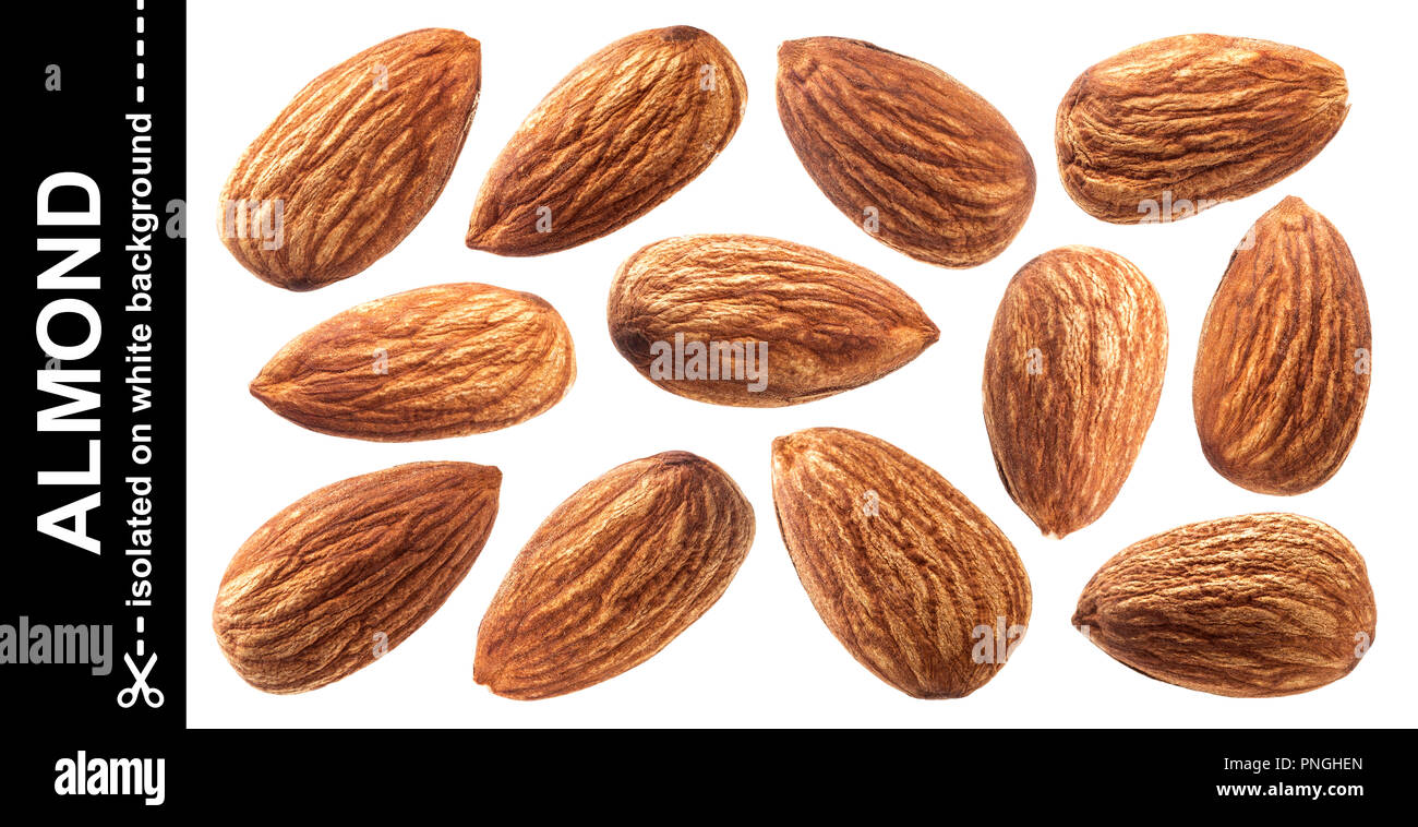 Raw almond isolated on white background with clipping path. Nuts ...
