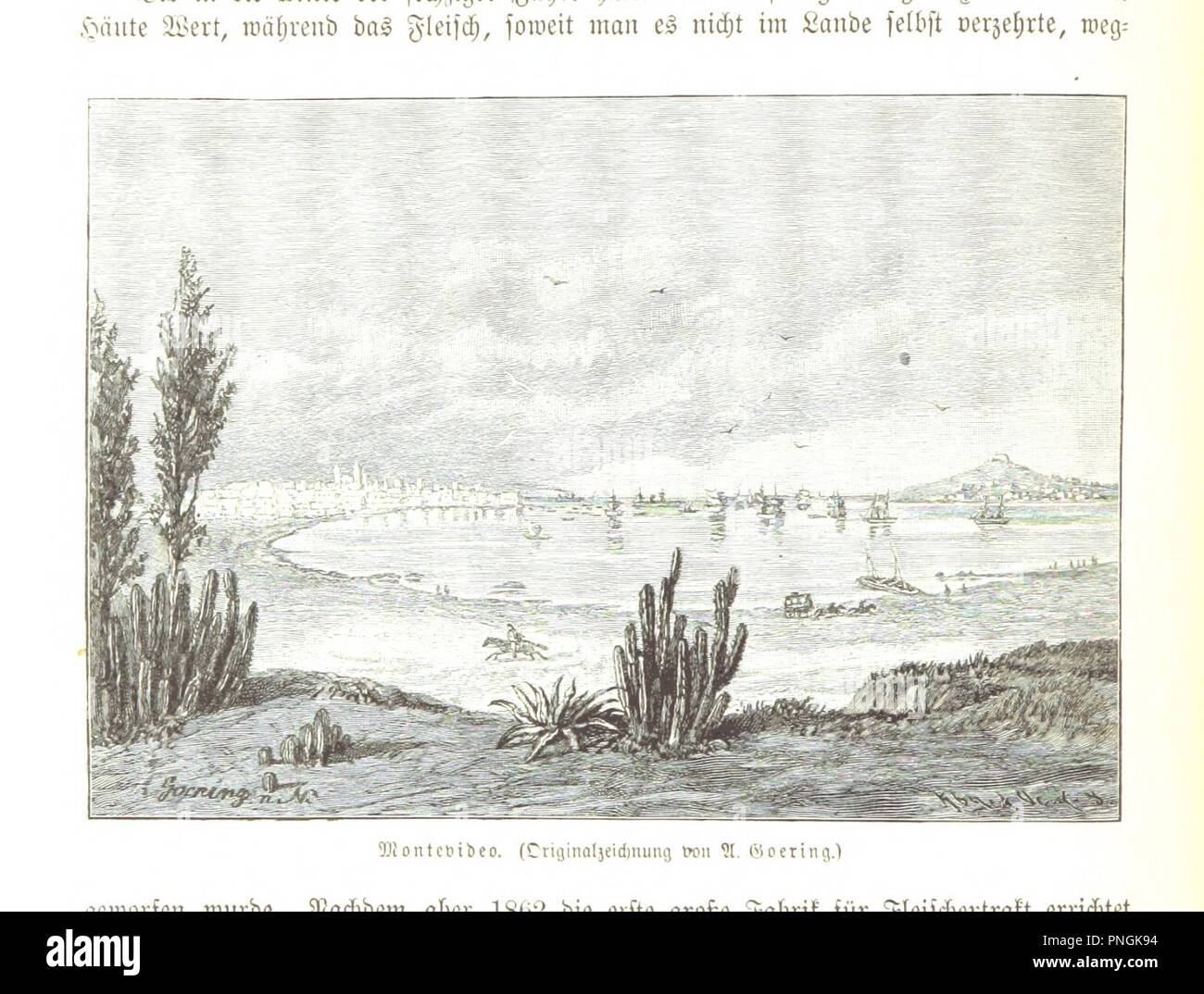 Image from page 342 of 'Amerika eine allgemeine Landeskunde. In ...