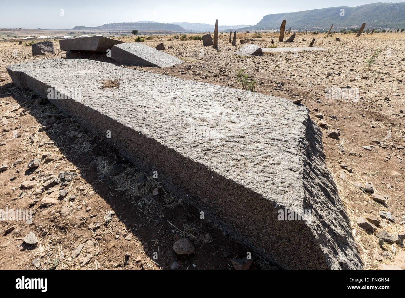 Gudit (Gudit (Judith, Esato, or Ga'wa) aka Yodit Stelae Field, Axum ...