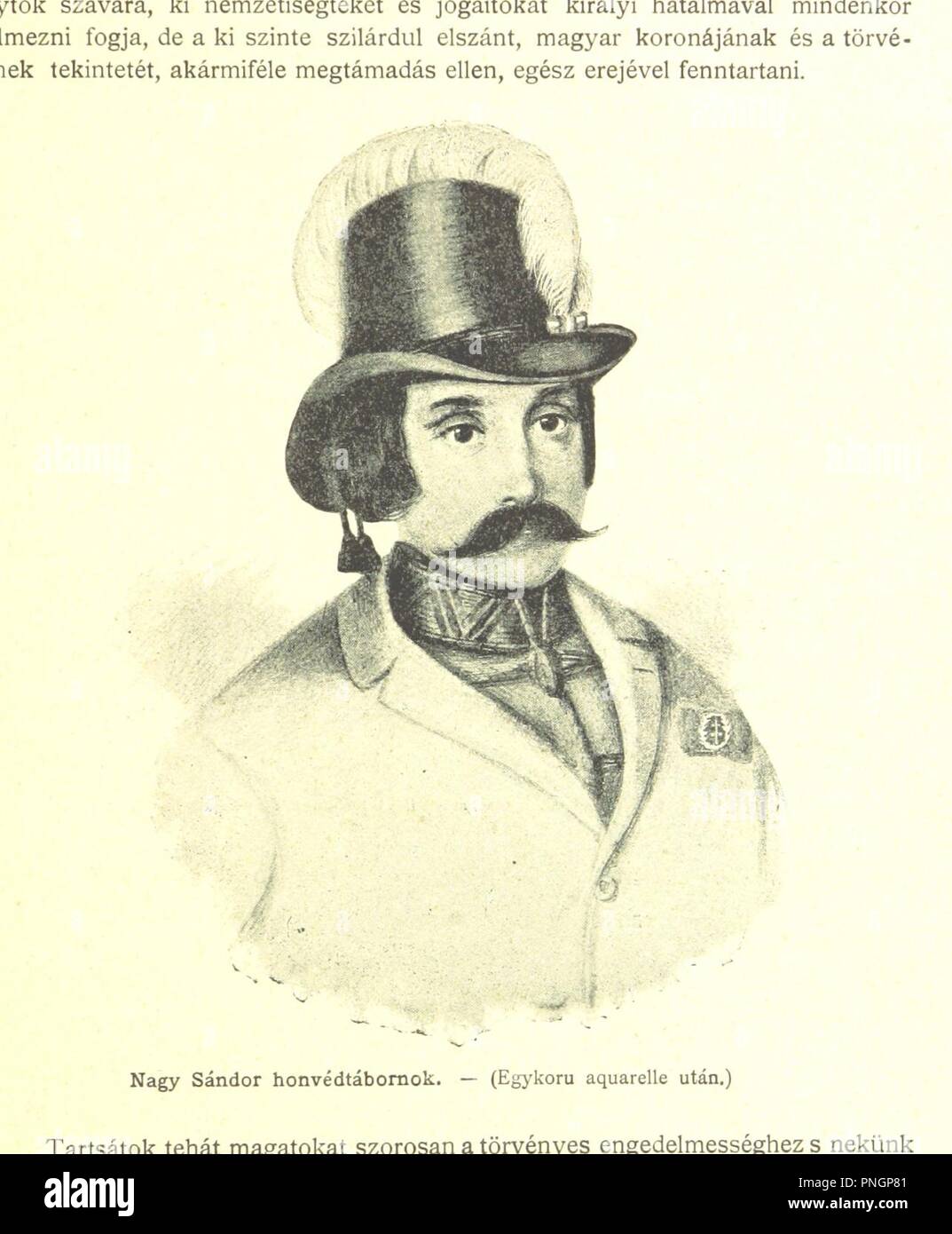 Image from page 429 of 'Az 1848-49-iki magyar szabadságharcz története ...