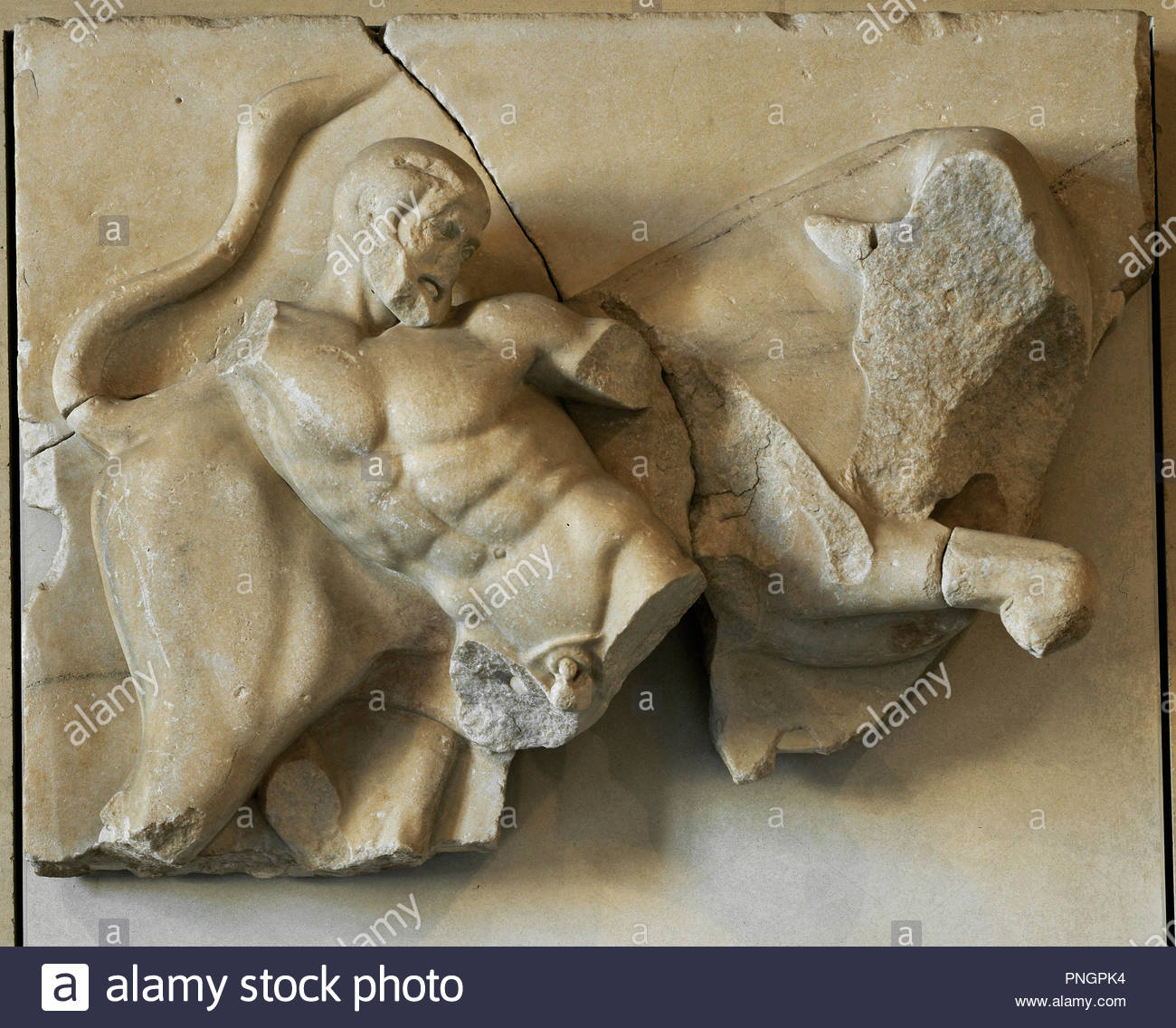 Cretan Bull Stock Photos & Cretan Bull Stock Images - Alamy