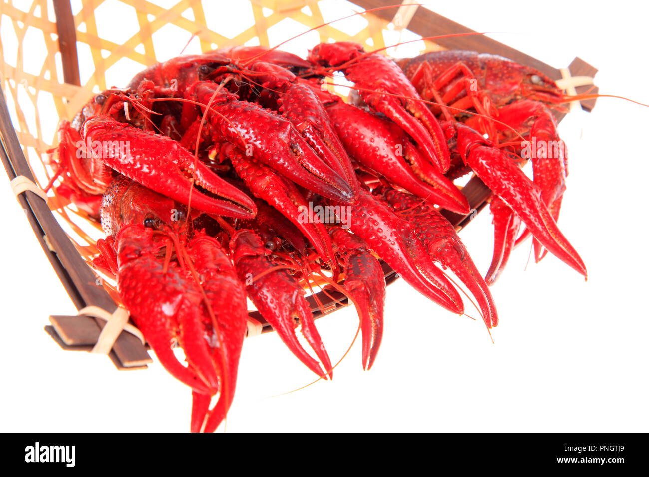 Crawfish, white background, close-up Stock Photo - Alamy