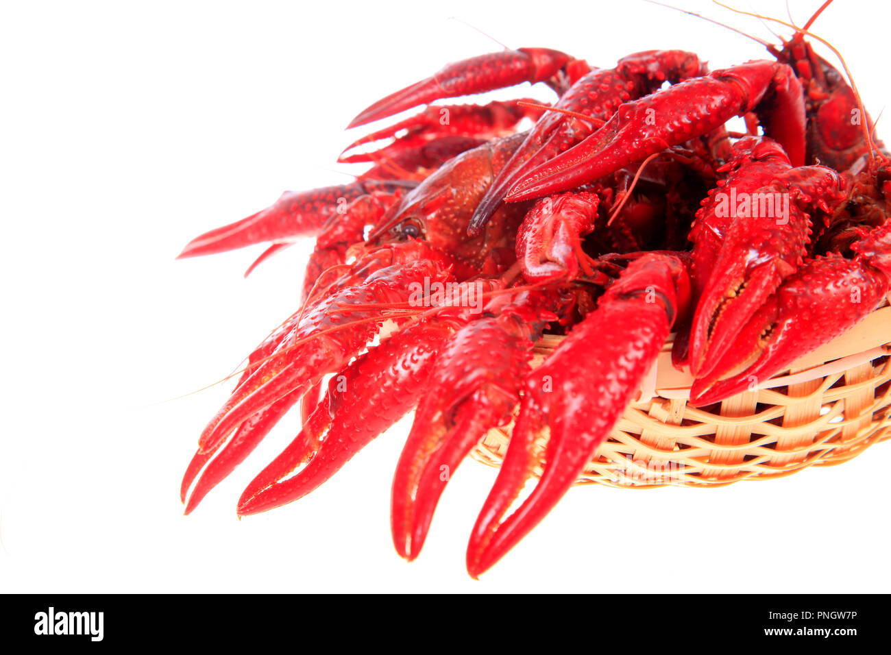 Crawfish, white background, close-up Stock Photo - Alamy
