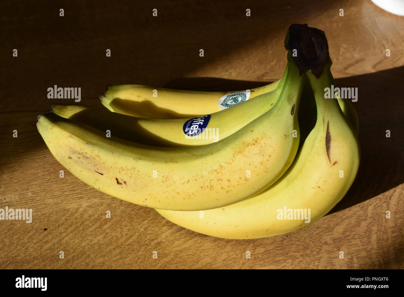 Bananas in sunlight Stock Photo - Alamy
