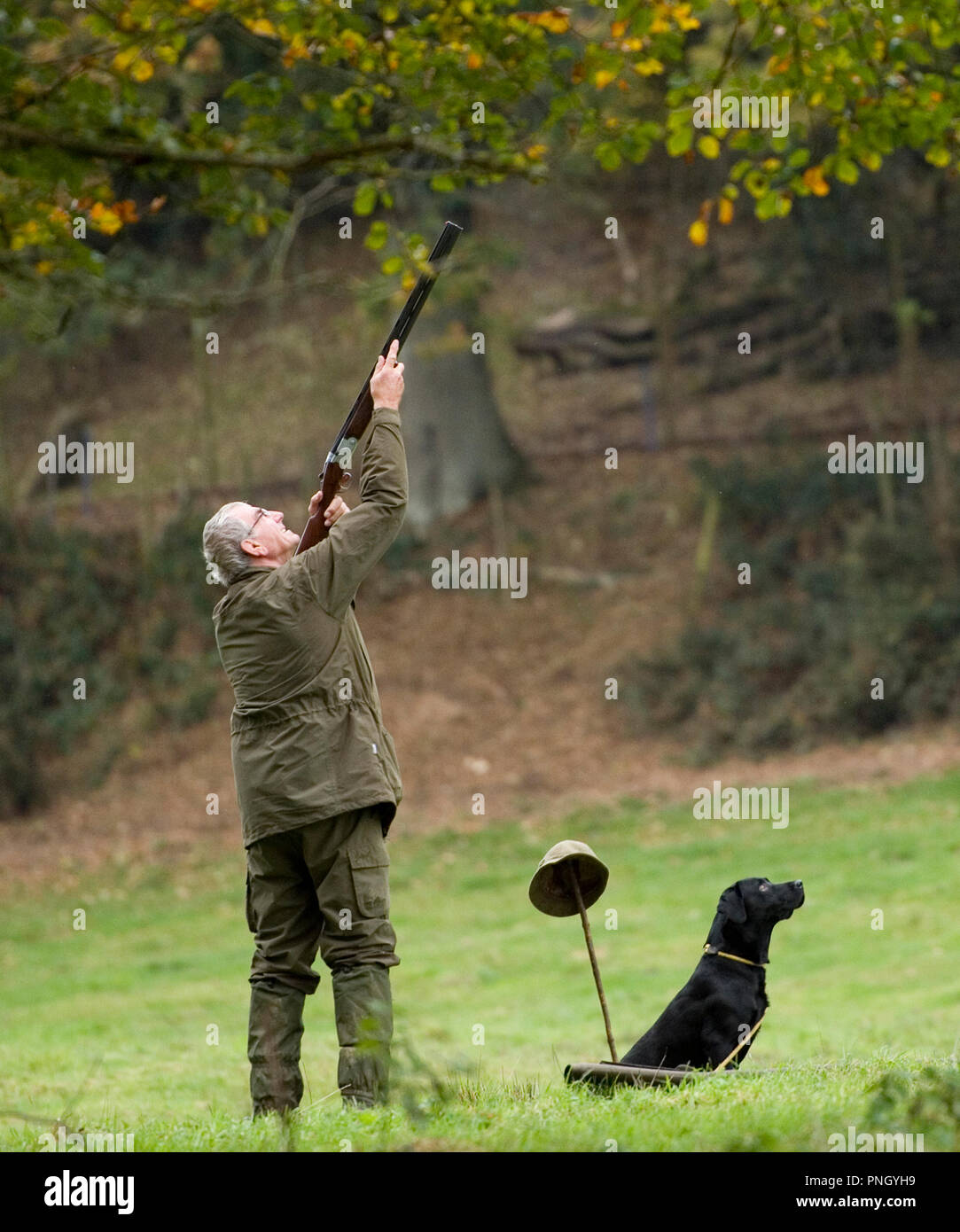man shooting pheasants with his labrador and a hat Stock Photo - Alamy